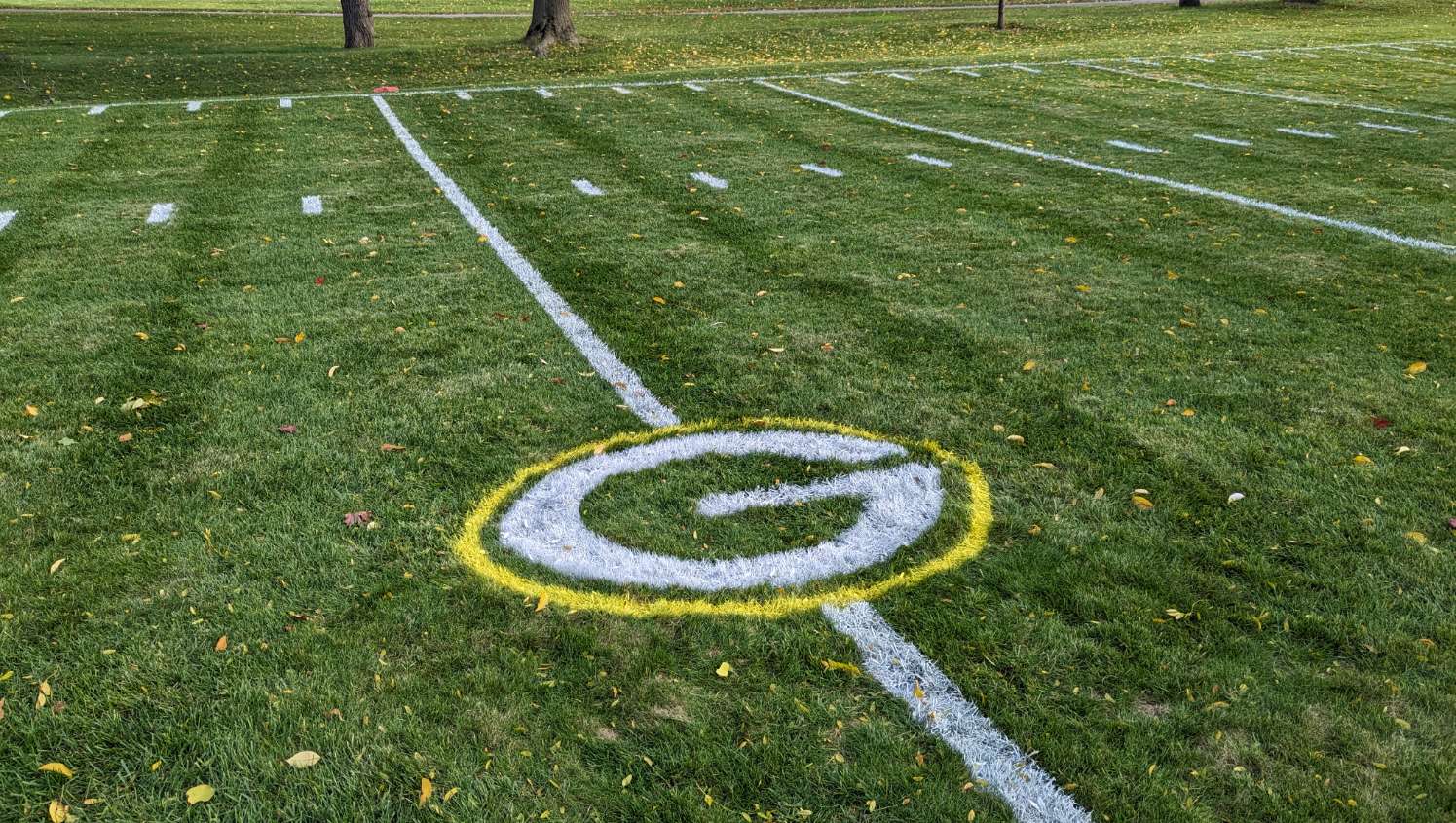 Athletic Field Marking for Elgin Homeowner | G-FORCE™