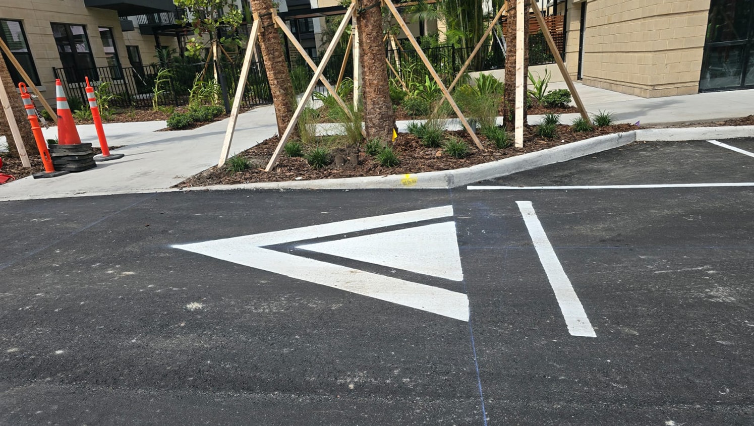 Line Striping Project for a Business in Tampa | G-FORCE®