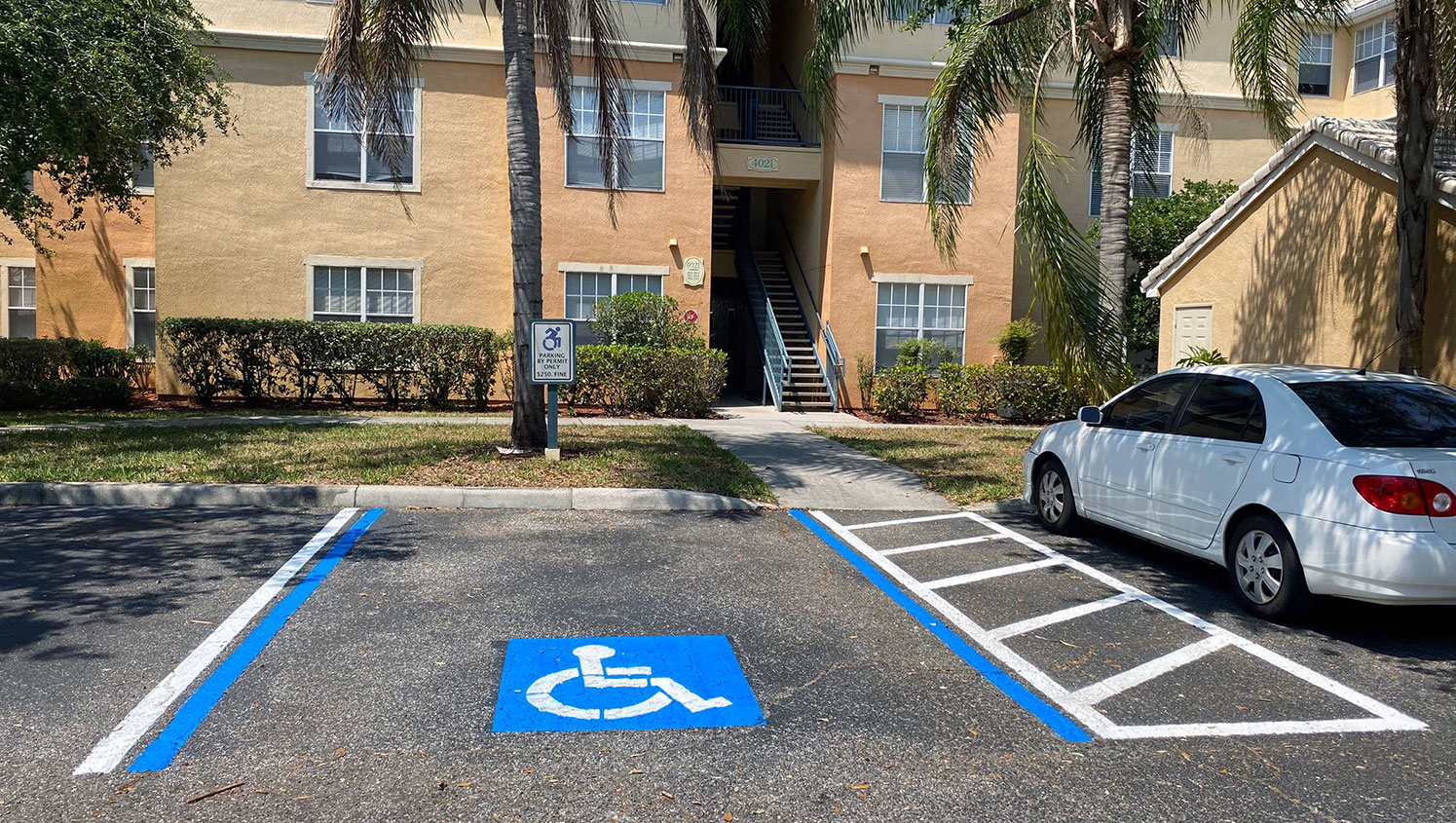 ADA-Striping Project for Paving Contractor | G-FORCE™ Tampa
