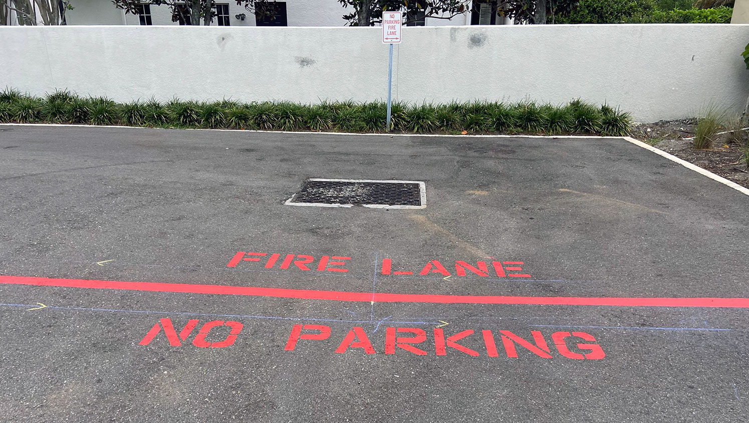 ADA, Fire Lane, and Line Striping for Cortland | G-FORCE™ Tampa