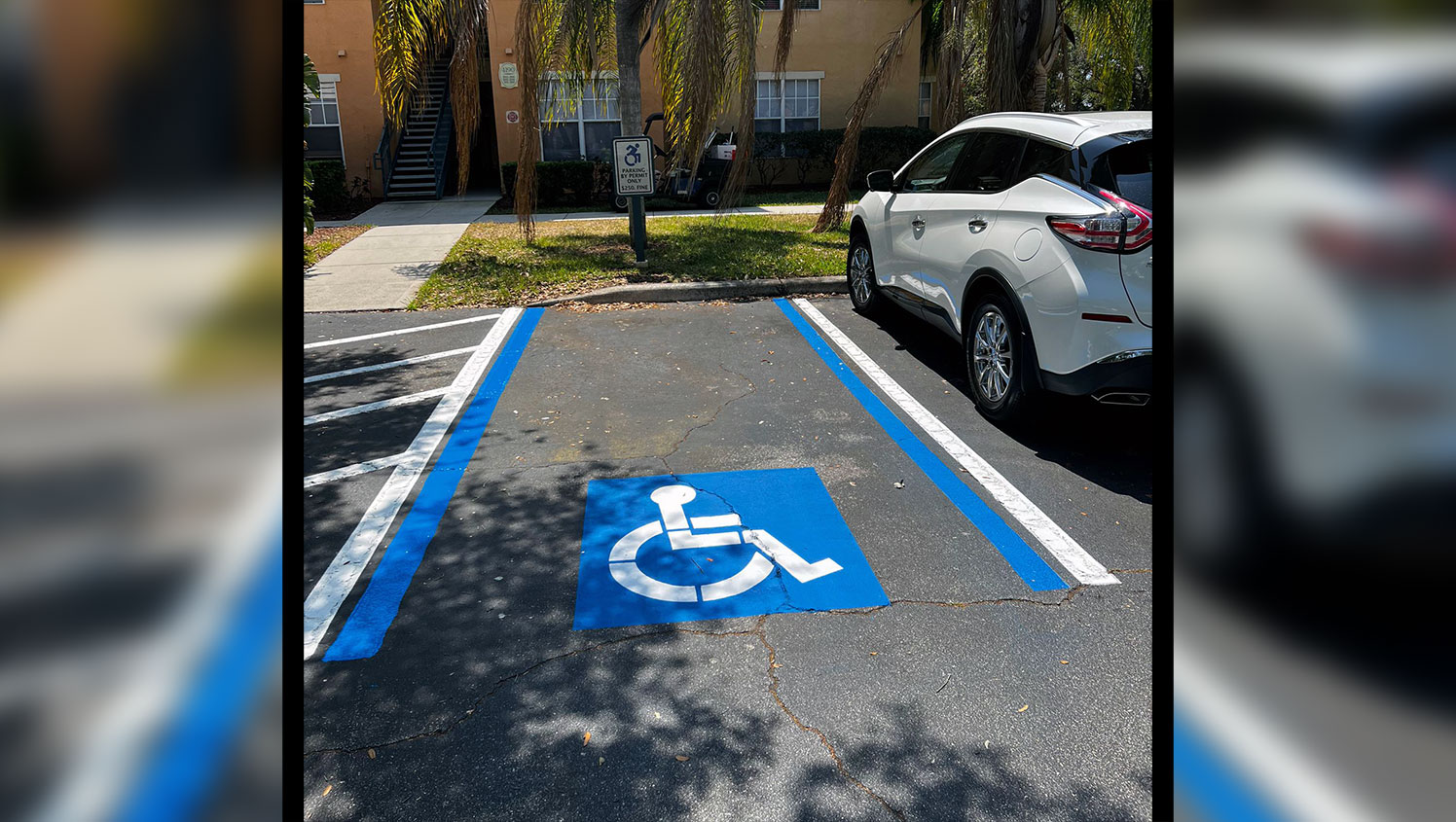 ADA-Striping Project for Paving Contractor | G-FORCE™ Tampa